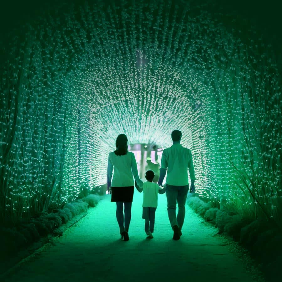 Wondra Experience Chicago – Nature-Inspired Light Worlds